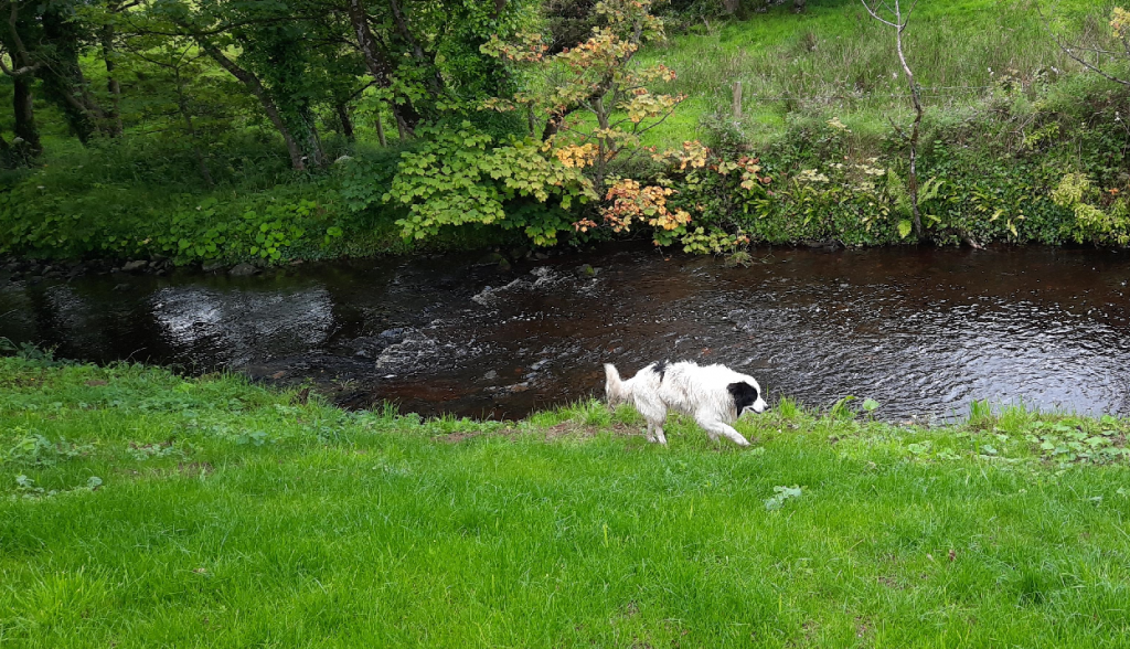 River Cottage Skreen Sligo Ireland – A lovely spacious, private Holiday ...